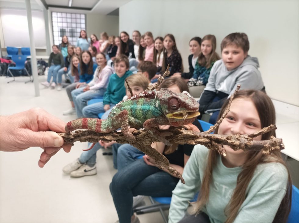 Spinnen und Schlangen gesichtet | Dominicus-von-Linprun-Gymnasium Viechtach